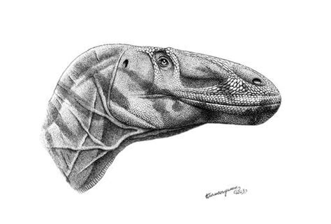 Xiphactinus Hobbyist Traditional Artist Deviantart