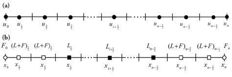 1 D Mimetic Differentiation Grid For The Function U Using Mimetic Download Scientific Diagram