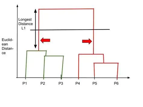 Hierarchical Clustering In Python Step By Step Complete Guide