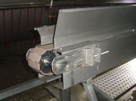 Conveyor Of Sorting Of Interiors Asena Ko OOO All Biz