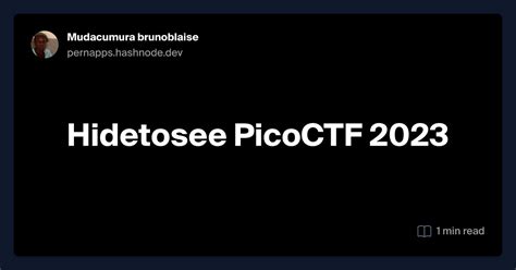 hidetosee picoctf 2023
