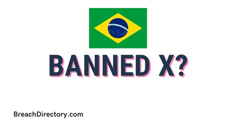 Twitter X Now Suspended In Brazil Why Breachdirectory Blog