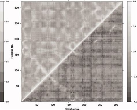 Cross Correlation Matrix Of The Atomic Fluctuations Of The Gαi1 Subunit