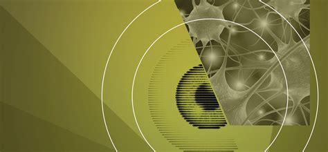 algorithms a biomimetic approach to performance and nuance