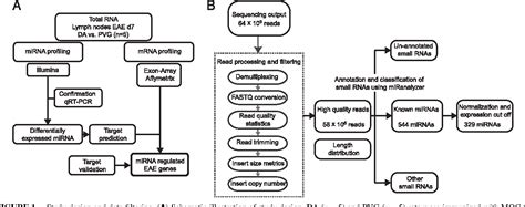 Figure 1 From Next Generation Sequencing Identifies Micrornas That