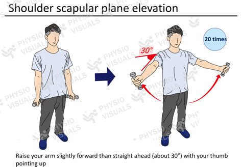 Shoulder Scapular Plane Elevation Physio Visuals Illustrated