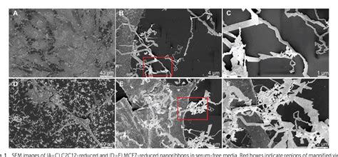 Figure 1 From Seed Mediated Synthesis Of Plasmonic Gold Nanoribbons