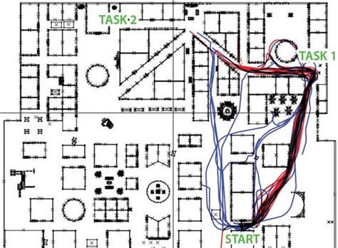Which Way Now Men Have Better Sense Of Direction Than Women Neuroscience News