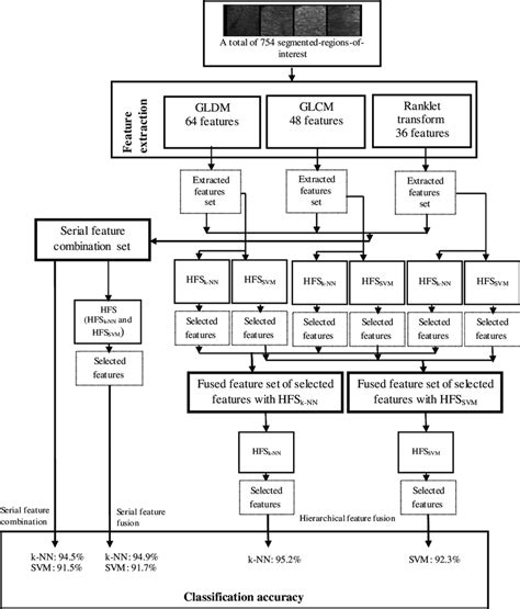 3 The Flow Diagram Of Experiment 2 Download Scientific Diagram