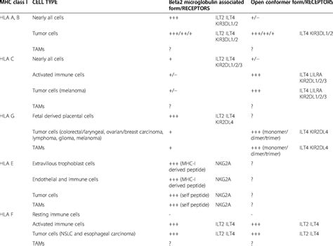 Summary Of Structure Of MHC Class I Molecules And Their Receptors Download Table
