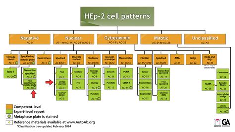 Icap Update Of Ana Pattern Classification
