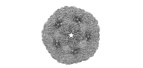 Rapid Prototyping And Validation Of SARS CoV Clinical Diagnostic Workflows Research