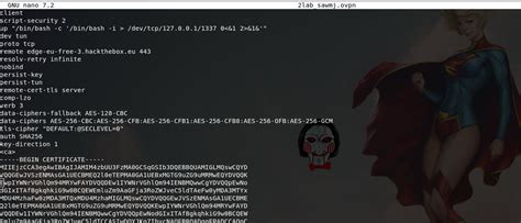 Openvpn Configs Can Get You Hacked Sawmj