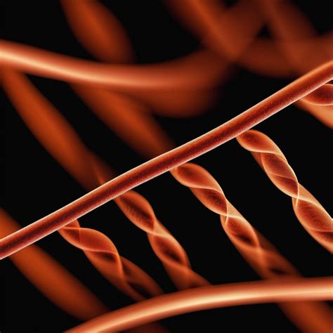 Congenital Deformity Of Hip Unspeci Q659 Dx