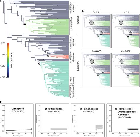 Bayesian Analysis Of Macroevolutionary Mixtures For Orthoptera The Download Scientific Diagram