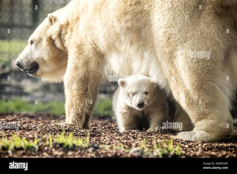 Mierlo Mother Frimas Comes Out For The First Time With Her Newborn