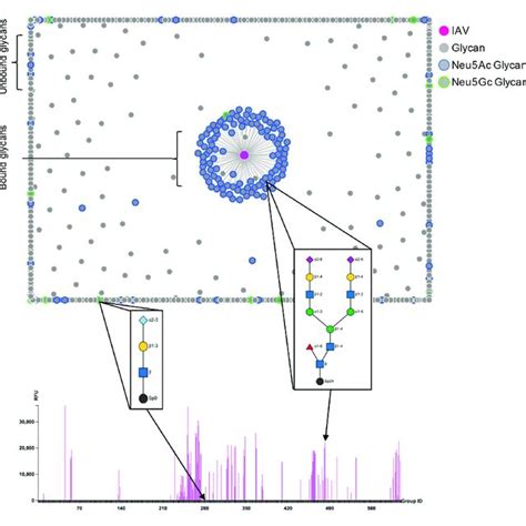 General Method For Creation And Use Of Glycan Microarrays From Download Scientific Diagram