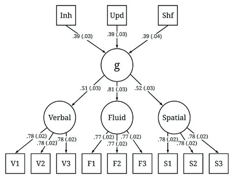 latent variable model of intelligence and executive attention processes
