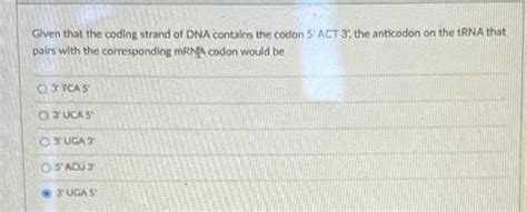 Solved Given That The Coding Strand Of DNA Contains The Chegg Com