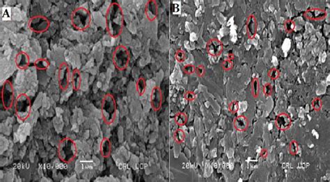 A Surface Sem Micrograph Of Geo Polymeric Membrane For Pore Size B