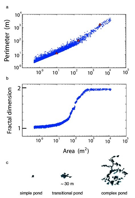 Transition In Fractal Dimension A Area Perimeter Data For August 22 Download Scientific