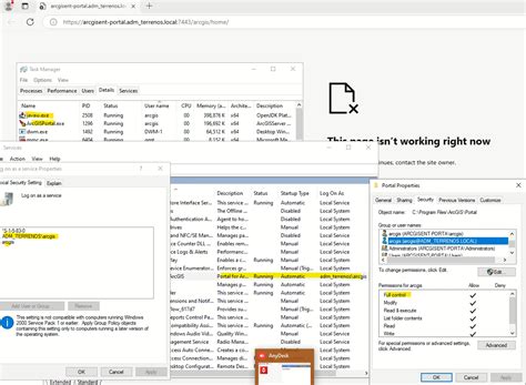 arcgis portal and server all processes do not star esri community