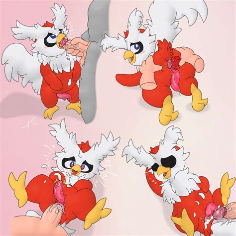 Rule 34 Anal Sex Birdofanatic Delibird Fellatio Gay Human Male On Feral Pokemon Pokephilia