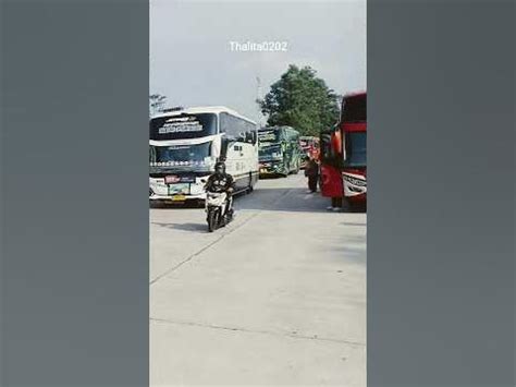 telolet basuri trip tangkuban perahu #shorts #telolet #busmania - YouTube