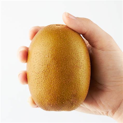 전국 점보 King 골드키위 마담주 Online Store