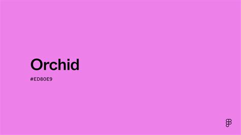 Orchid Color Hex Code Palettes And Meaning Figma