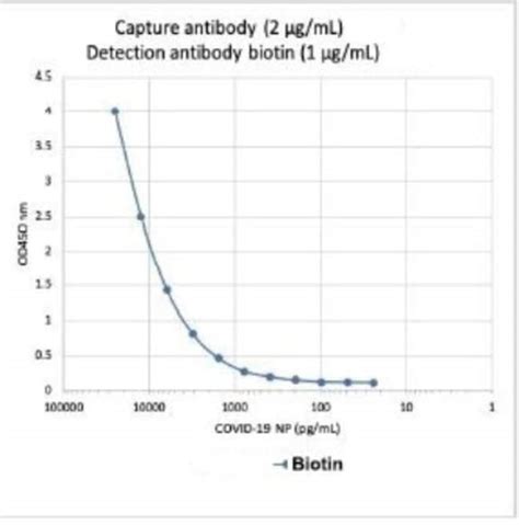Sars Cov 2 Nucleocapsid Antibody 75g5a Novus Biologicals 005 Mg