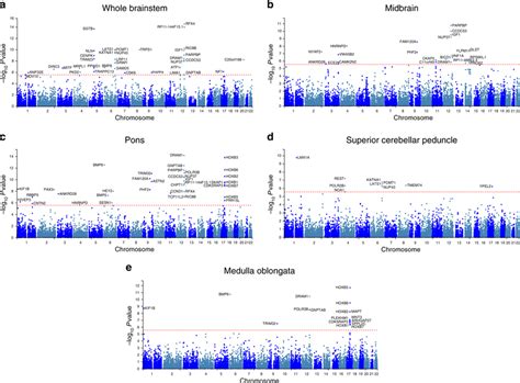 manhattan plots from the genome wide gene based association analyses