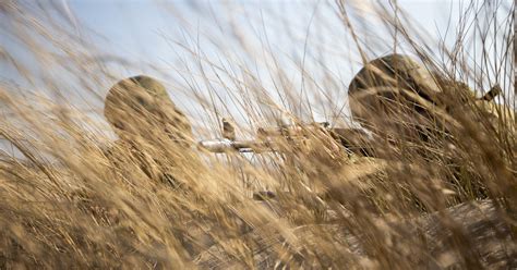 Мятежники Нигера обвинили французских военных в атаке на нацгвардию Новости Калининграда