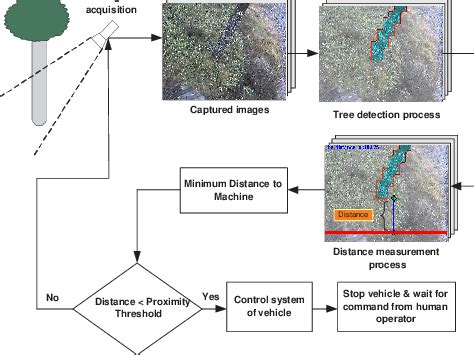 Simplified Architecture Of Tree Detection System Download Scientific Diagram