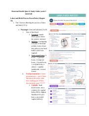 OB Quiz Study Guide Docx Maternal Health Quiz Study Guide Week Material Labor And