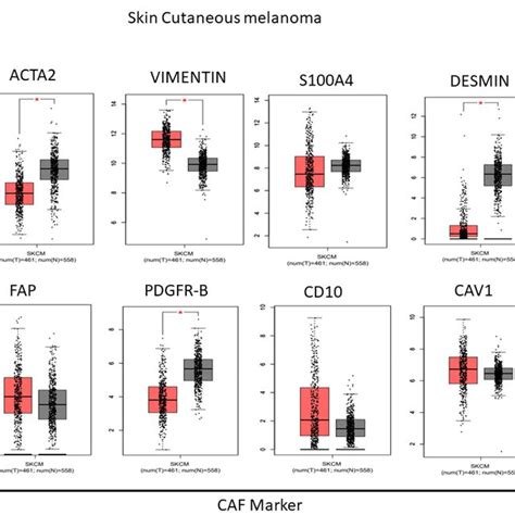 Cancer Associated Fibroblast Markers Gene Expression Profiles In Lung Download Scientific