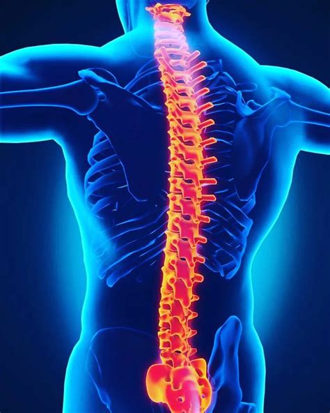 Best Pars Fracture Diagnosis And Treatment Mr Irfan Malik