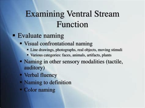 Ppt The Ventral Stream And Visual Agnosia Powerpoint Presentation