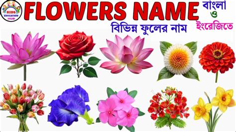 ফুলের নাম বিভিন্ন ফুলের নাম বাংলা ও ইংরেজীতে Flowers Name Flowers Name Of Bengali And