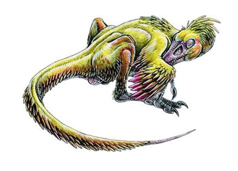 Mei Long Learn About This Dinosaur Dinosaur Sounds