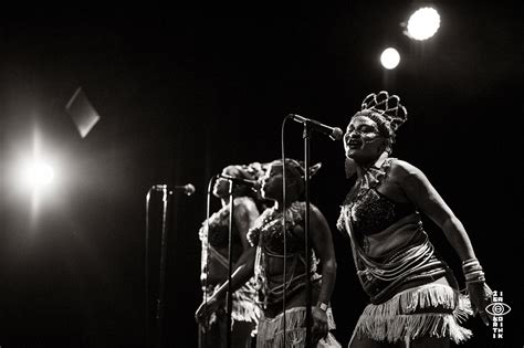 Femi Kuti Positive Force Iga Koritnik