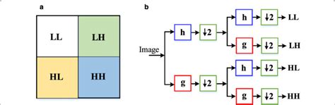 Wavelet Decomposition A One Level Discrete Wavelet Transform B Filter Download Scientific