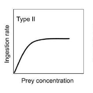 Three Types Of Functional Response Curves As Described By Holling Download Scientific