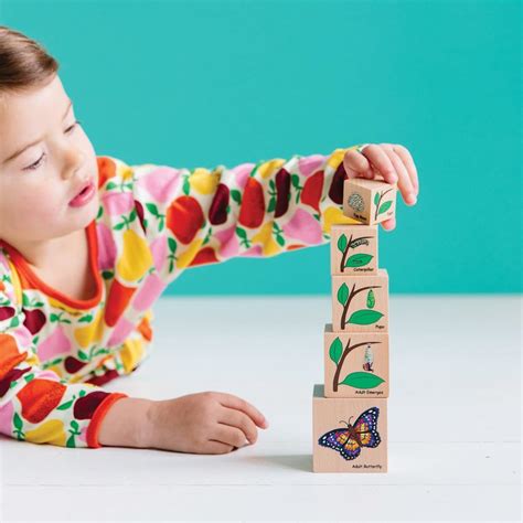 Life Cycle Blocks For Small Hands