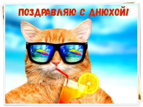 Открытки с днем рождения с котиками