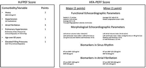 Illustration Of The Hfa Peff And H2fpef Score Systems From 27 Download Scientific Diagram