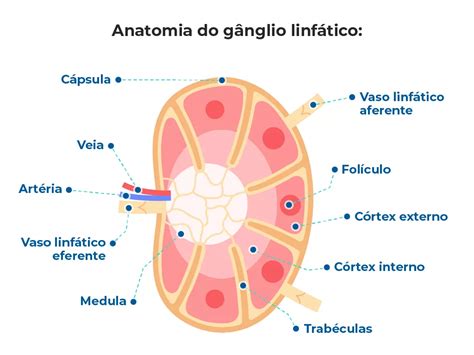 Nódulo No Pescoço Sintomas Causas E Tratamentos