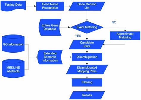 architecture of the gene name normalization system download