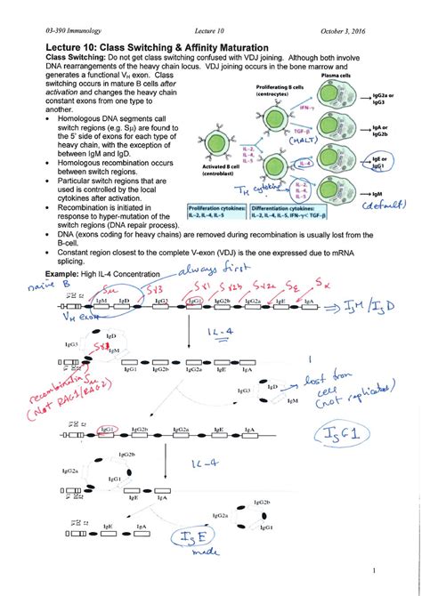 Lec10 Lecture Notes 10 Immunology Lecture It October 3 20m